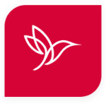 Jobera - Find Your Dream Remote Job Today!